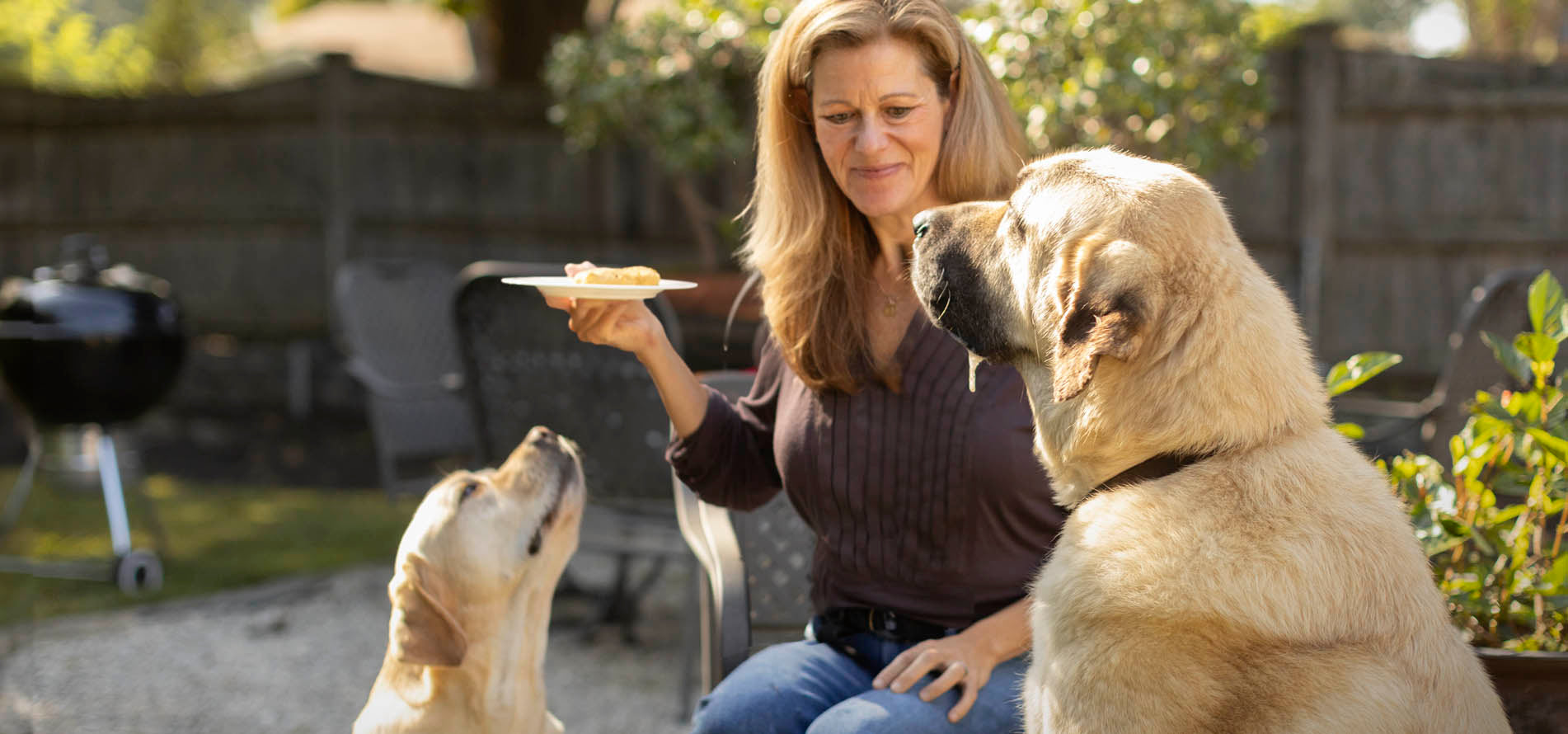 Homemade Dog Treats - Easy DIY Dog Recipe - Pumpkin Peanut Butter Cook ...