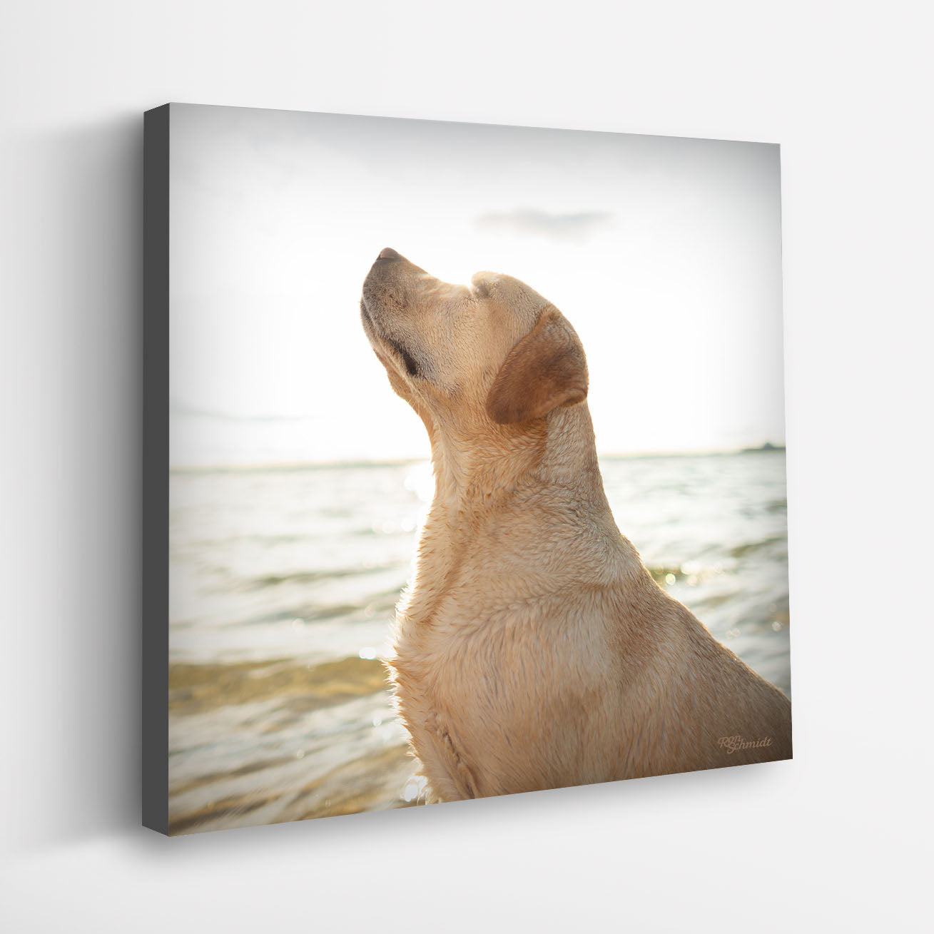 Sunny Dog Art Print - Labrador Coastal Beach and Lake House Wall Decor ...