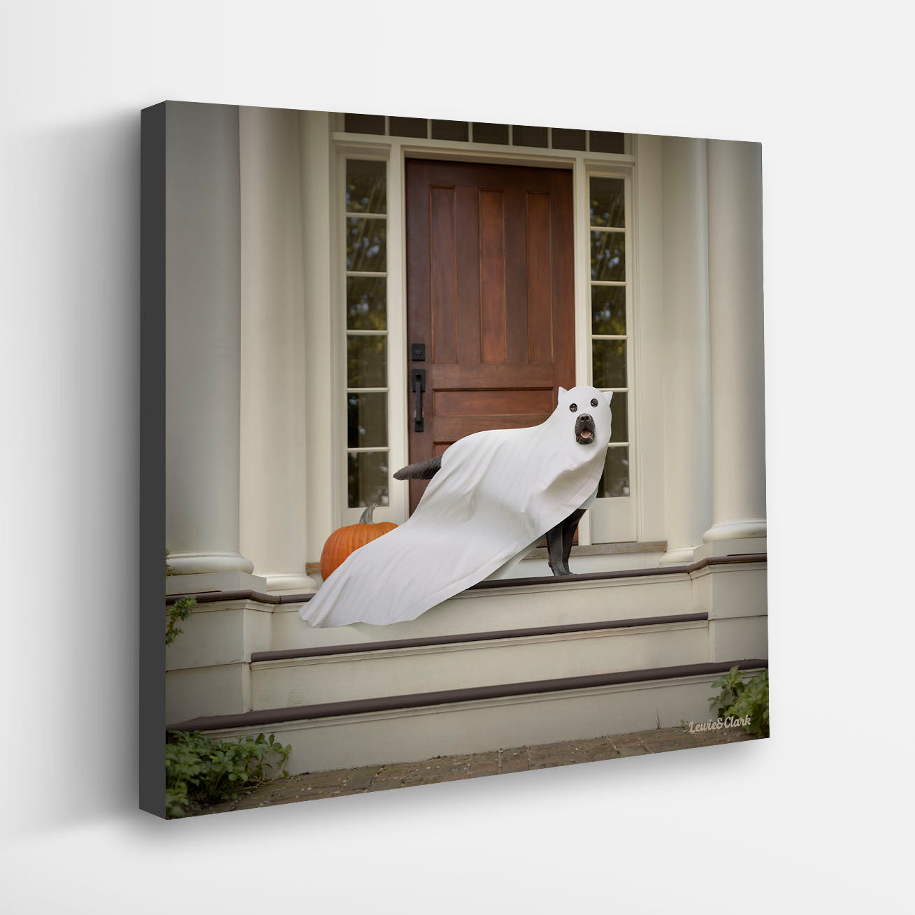 BOO Dog Ghost Canvas Art Print - Black Labrador Halloween Fall Decor A ...